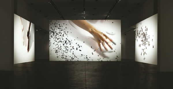 Silvia Rivas - Arte-Online