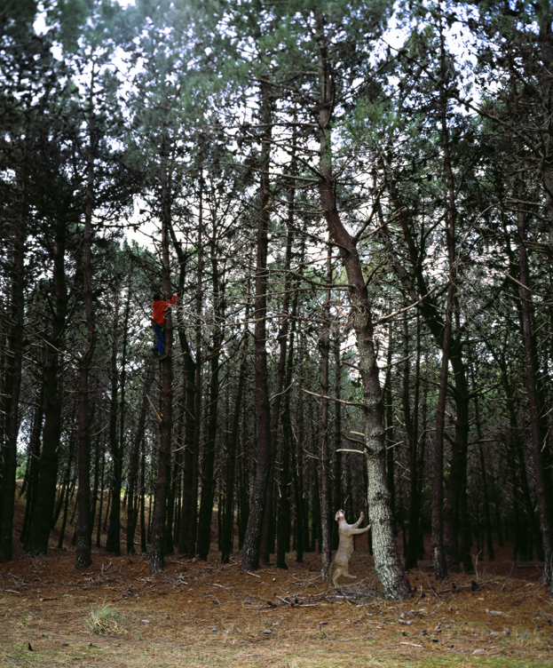 Ananké Asseff, S/T (Corrimientos), - Arte-Online