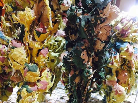 David Rodríguez - Arte-Online