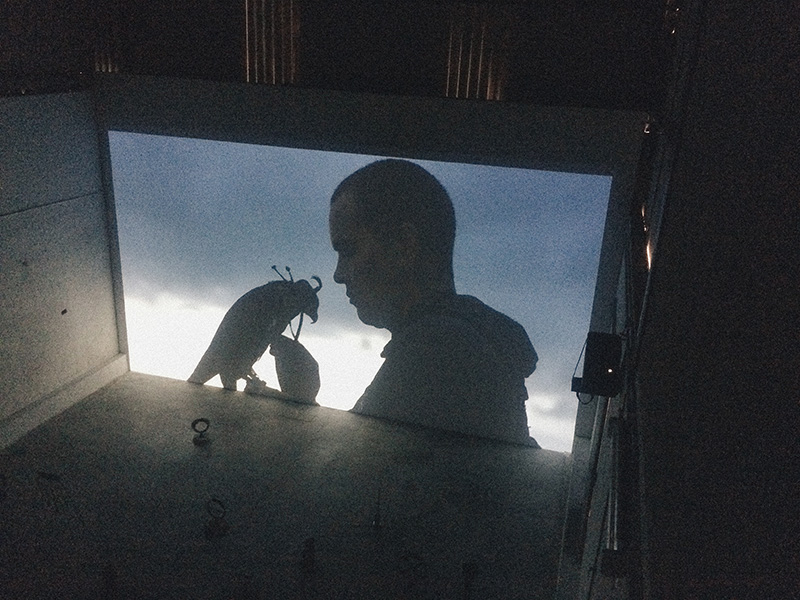 Miguel Calderón - Arte-Online