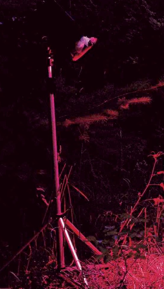 ANANKÉ ASSEFF - Arte-Online