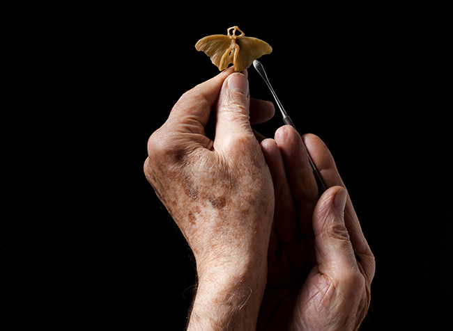 Antonio Pujía - Arte-Online