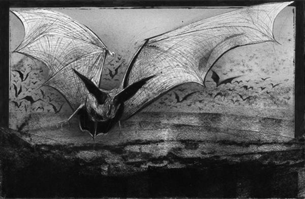 Luis Scafati - Arte-Online